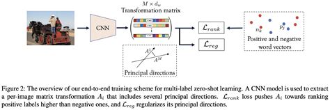 semantic diversity learning for zero shot multi label classification papers with code