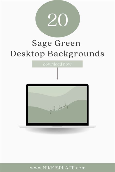 Sage Green Aesthetic Wallpaper Backgrounds Free