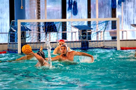 Pallanuoto Serie C Preganziol Si Salva Solo Se