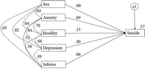the path analysis with structural equation model for suicide ideation download scientific