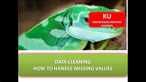 cleaning data how to handle missing values with python youtube