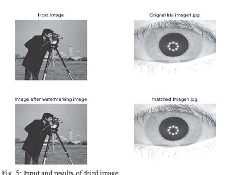 figure 5 from second generation wavelet transform based biometric [iris] watermarking for image
