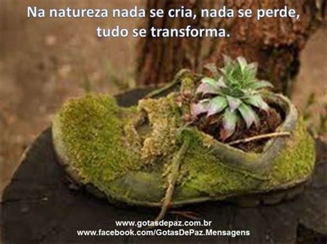 Na Natureza Nada Se Cria Nada Se Perde Tudo Se Transforma Gotas De