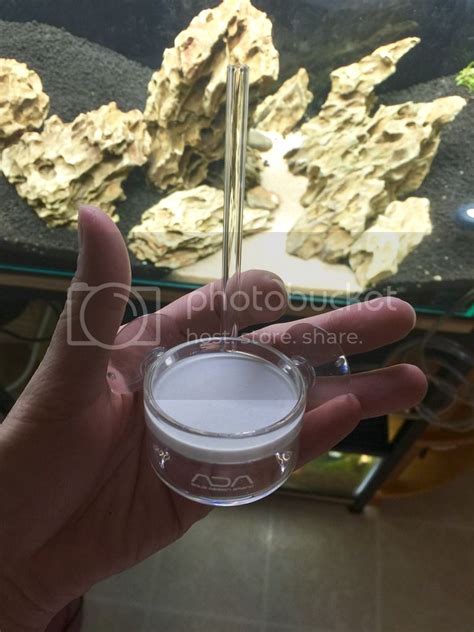17 1 Gallon Rimless Tank Aquascaping With Ohko Dragon Stones Jungle