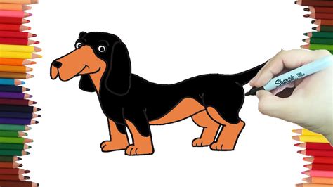 Como Dibujar Un Perro Salchicha Dibujos Faciles YouTube