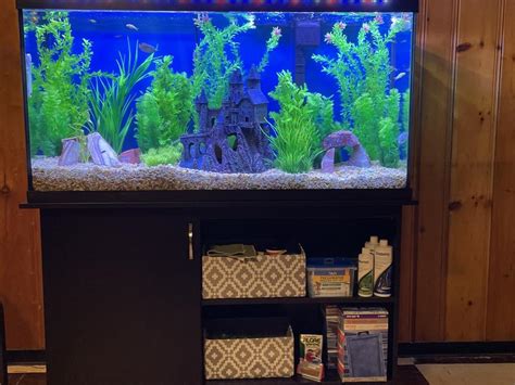 Aqueon S New Aquarium Model The Gallon Breeder