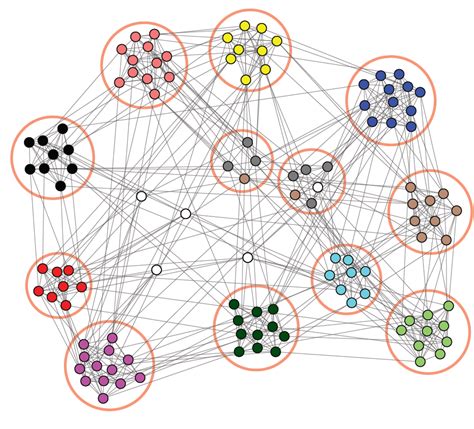 complex networks the network pages