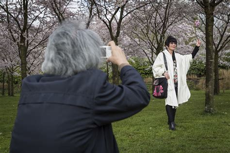 De Verzameling Bloesemfeest Dmolfotografie Nl