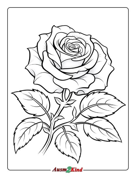 Ausmalbilder Rose 19 Stück Malvorlagen Blumen Kostenlos