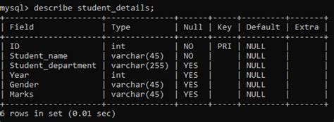 mysql describe statement