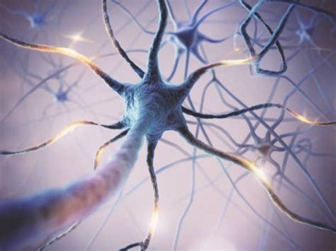 Daño cerebral adquirido qué es y cómo rehabilitarlo