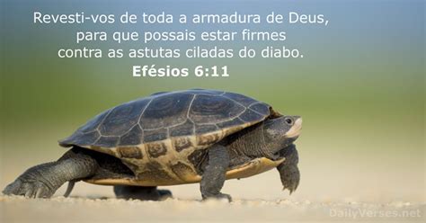 De Mar O De Vers Culo Da B Blia Do Dia Ef Sios