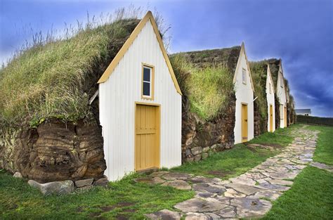 Qué tipo de raíces debes usar para construir tu eco casa Estilo en