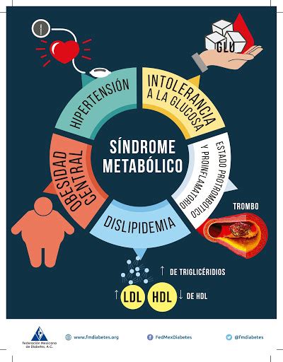 Síndrome metabólico hipertensión sobrepeso dislipemia y pre diabetes