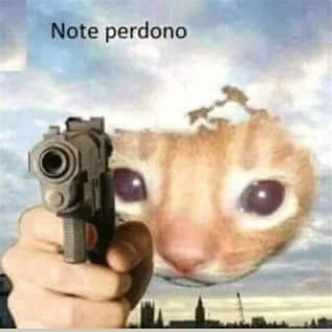 I Don T Forgive You Me Perdonas Know Your Meme