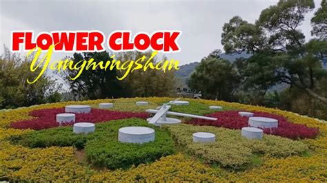 YANGMINGSHAN FLOWER CLOCK IN TAIPEI TAIWAN TRAVEL GUIDE JOHONA