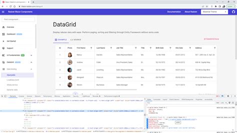 Grid Header Background Radzen Studio Blazor Server Radzen