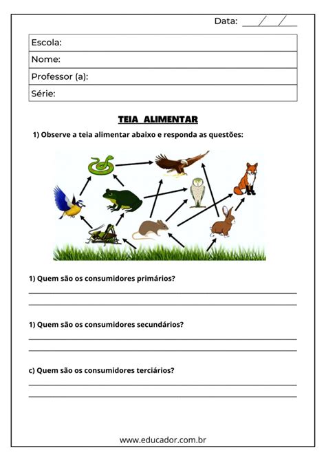 Desvendando A Cadeia Alimentar Exerc Cios Pr Ticos Para O Ano