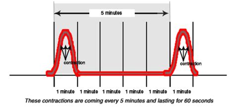Contractions During Labor What You Need To Know Stuff Tots