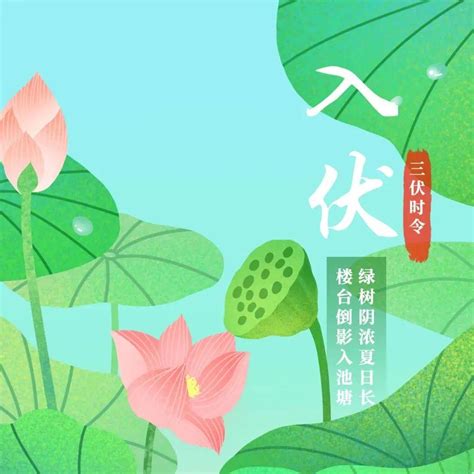 今日入伏又是40天这些事项应注意 食用 庚为 人民日报社