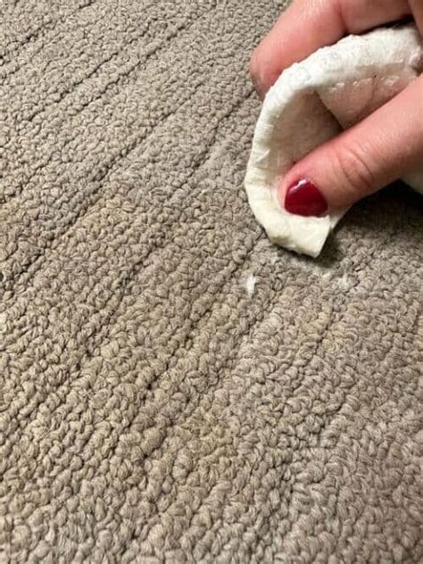 How To Get Coffee Stains Out Of Carpet Maid2Match