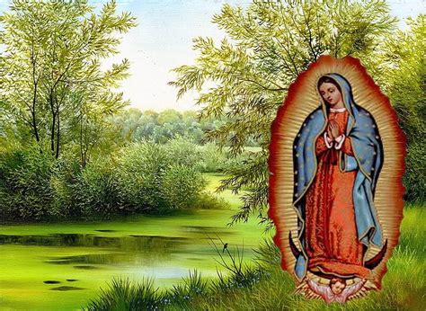El Top 48 Fondos De La Virgen De Guadalupe Abzlocal Mx