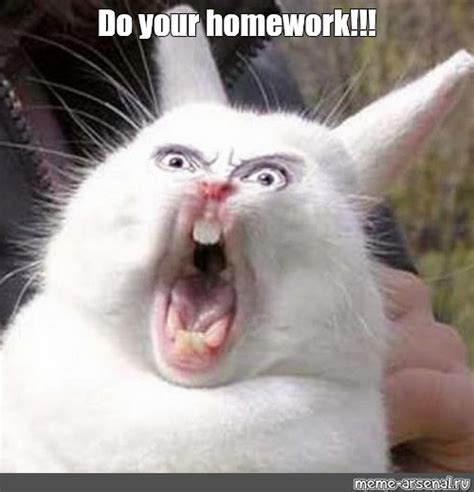 Meme Do Your Homework All Templates Meme Arsenal