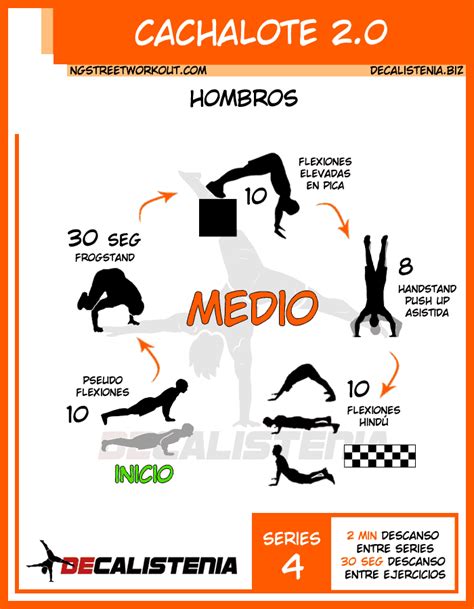 ᐅ Rutinas Épicas de Calistenia Por dificultad y músculos