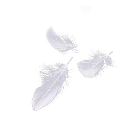 Three Delicate White Flying Feathers Exquisite White White Feather