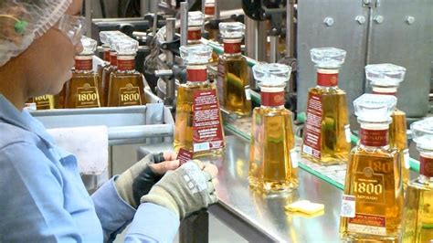El tequila reposado es la mejor bebida alcohólica del mundo según