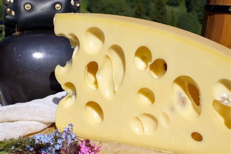 Sabes por qué el queso emmental tiene agujeros