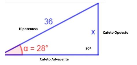 Como Calcular El Valor De X En Triangulos Printable Templates Free