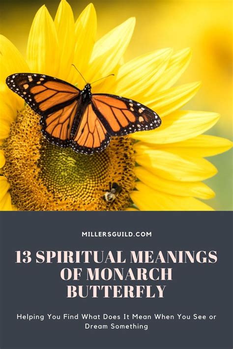 13 Spiritual Meanings Of Monarch Butterfly Monarch Butterfly Monarch