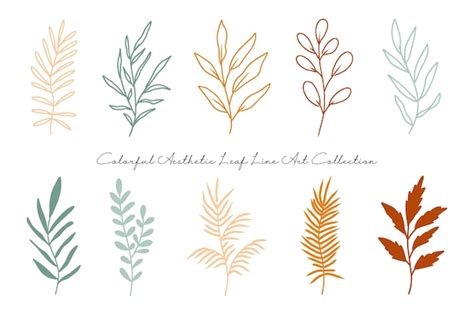 Premium Vector Aesthetic Leaf Line Art Collection