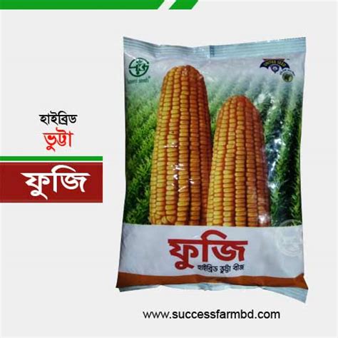 হইবরড ভটট ফজ Hybrid Maize Fuji Success Farm