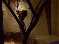 Kim Hye Su Nue Dans Hypnotized