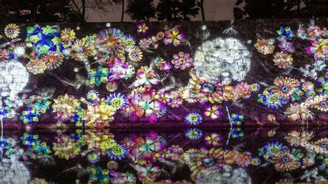 五感で楽しむ春の二条城日本の伝統文化がデジタルアート体験にアップデートNAKED FLOWERS 2023 桜 世界遺産二条城を取材