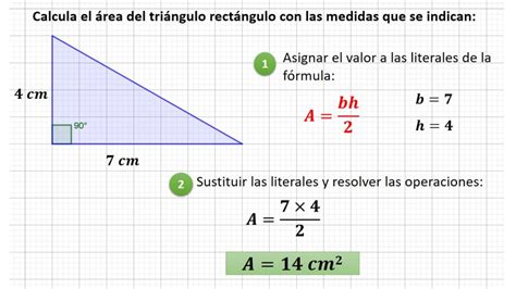 Per Metro Y Rea Del Tri Ngulo Rect Ngulo Aula Mate
