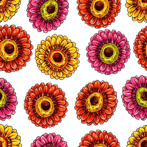 Vectores De Stock De Gerberas Ilustraciones De Gerberas Sin Royalties
