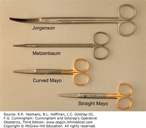 List Of Surgical Instruments With Names At Linda Horton Blog