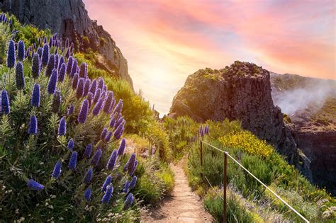 Naturaleza Viaje Al Aire Libre Foto Gratis En Pixabay Pixabay