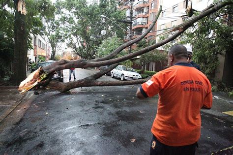 Homem morre eletrocutado após queda de árvore em SP São Paulo Estadão