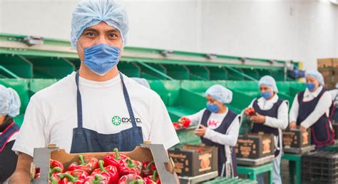 Agroindustria transformación sin límites Secretaría de Agricultura y