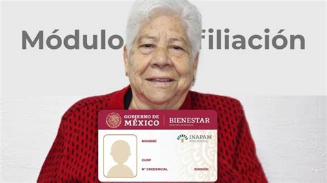 Cu Les Son Los Requisitos Para Tramitar La Credencial Del Inapam En El