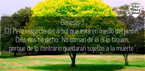 G Nesis Cap Tulo Mosqueteros De Yehovah
