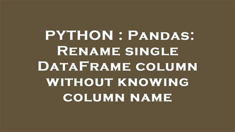 Python Pandas Rename Single Dataframe Column Without Knowing Column Name Youtube