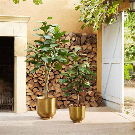 Kunstplant Ficus Lyrata 210 Cm Mooie Kunstplanten FloraWorks