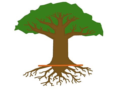 Cartoon Tree With Roots Tree Cartoon With Roots