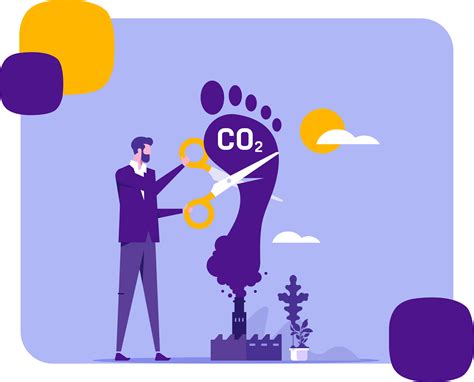 Infografía Novaluz Huella de Carbono
