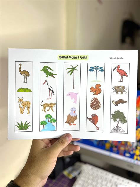 Os Biomas Caderno Interativo Sua Loja de Atividades Pedagógicas